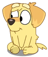 Chucky | Bluey Wiki | Fandom