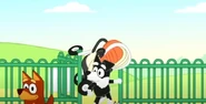 Mackenzie Border Collie/Gallery | Bluey Wiki | Fandom