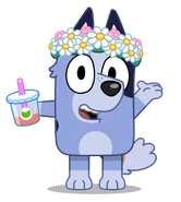 Socks Heeler/Gallery | Bluey Wiki | Fandom