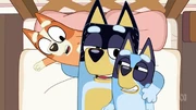 Bingo Heeler | Bluey Wiki | Fandom