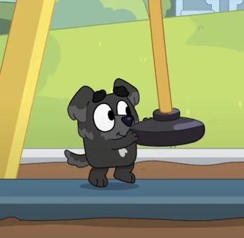 Flying Fox Kid | Bluey Wiki | Fandom