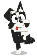 Mackenzie Border Collie/Gallery | Bluey Wiki | Fandom