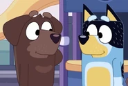 Fido | Bluey Wiki | Fandom