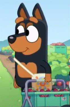 Routard argentin | Wiki Bluey | Fandom