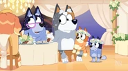 Socks Heeler/Gallery | Bluey Wiki | Fandom