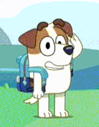 Jack Russell | Bluey Wiki | Fandom