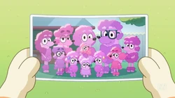 BLUEY Coco GROWING UP EVOLUTION Bluey | atelier-yuwa.ciao.jp