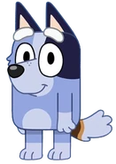 Socks Heeler/Gallery | Bluey Wiki | Fandom