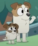 Lulu Russell | Bluey Wiki | Fandom