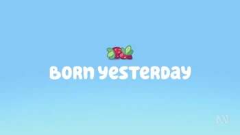 Born Yesterday | Bluey Wiki | Fandom