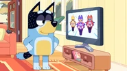 Cat Squad | Bluey Wiki | Fandom