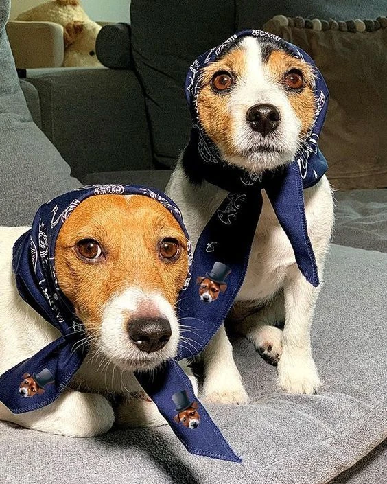 Example Page | Blyatman Lore Wiki | Fandom