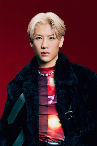 Hayato Bmsg Wiki Fandom