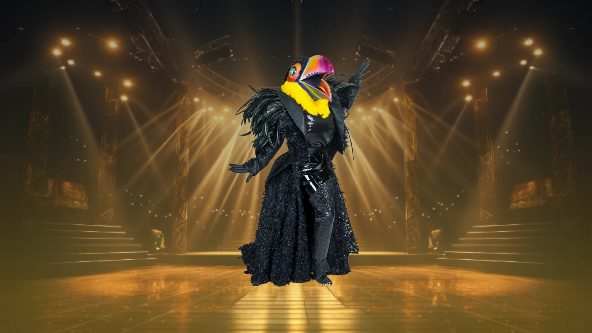 Toucan | BN'S TMS Wiki | Fandom