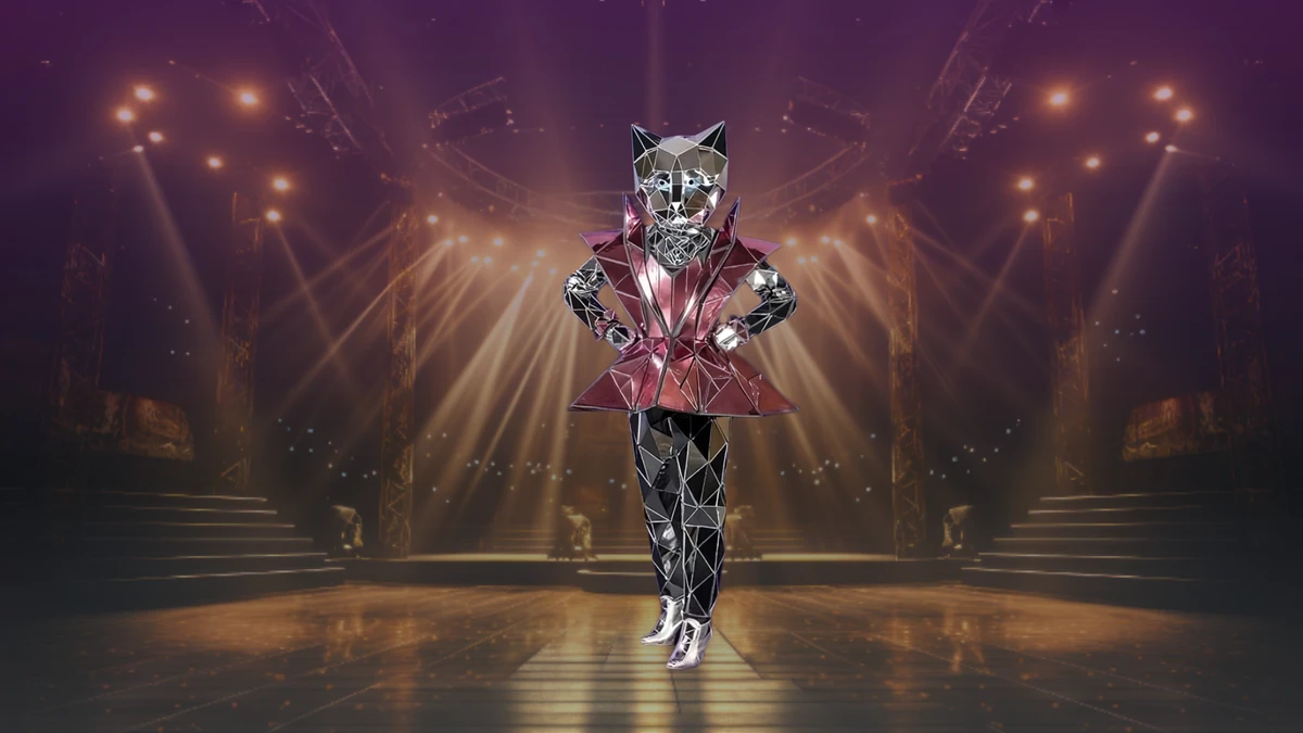 Mirrored Cat | BN'S TMS Wiki | Fandom