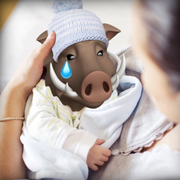 Newboarn | Boar Wiki | Fandom