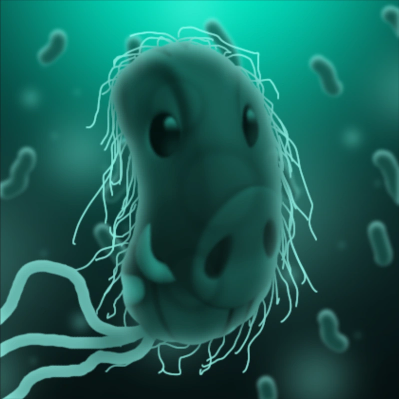 Boarcterium | Boar Wiki | Fandom