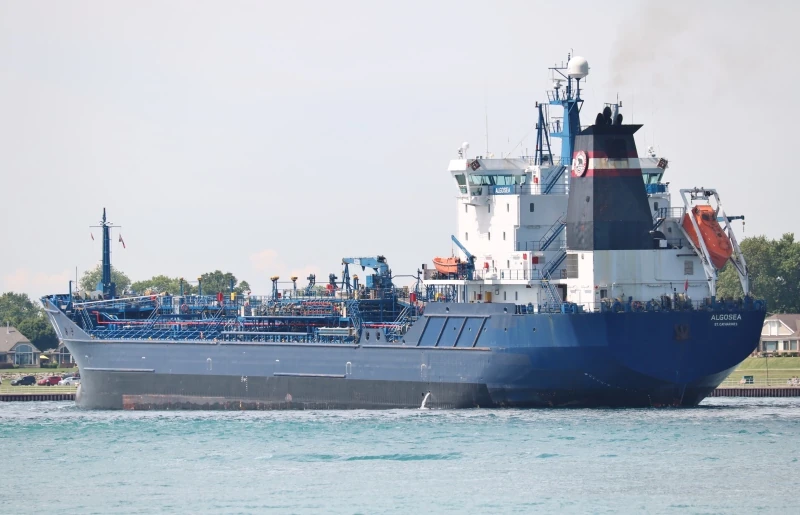 Algosea | Boatnerd Wiki | Fandom