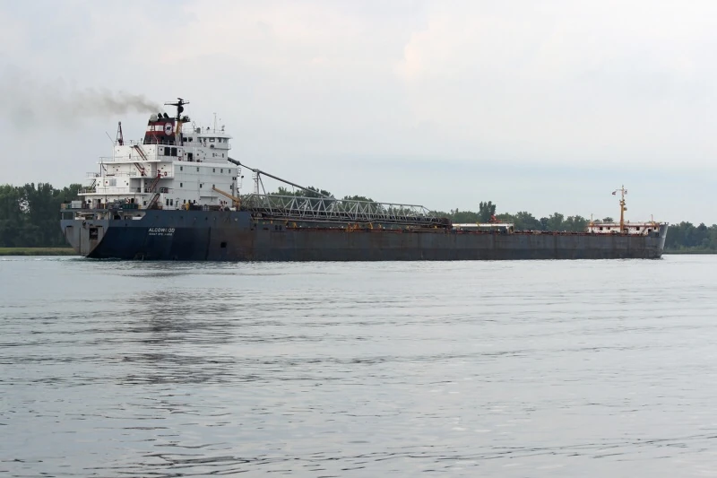 Algowood | Boatnerd Wikia | Fandom