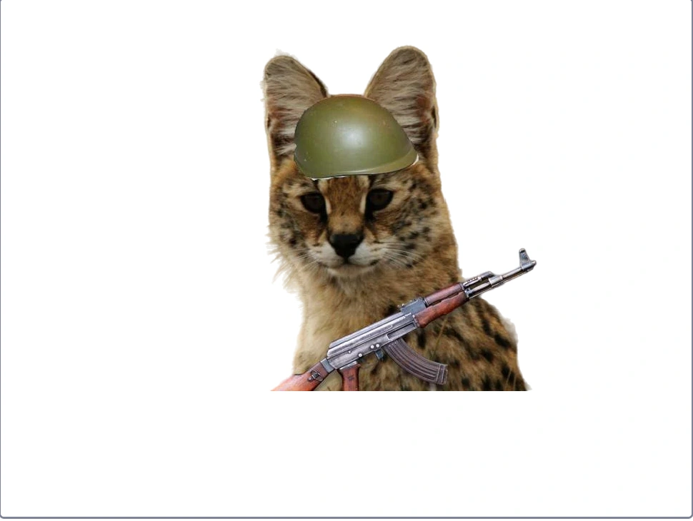 Sogga | BOB REVIVED Wiki | Fandom