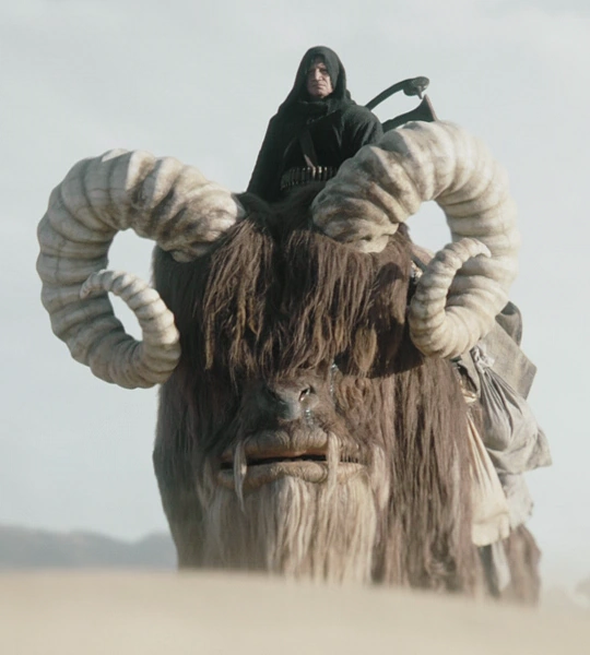 Boba Fett's bantha | Boba Fett: Open Seasons Wiki | Fandom