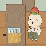 Joji | Boba Story Wiki | Fandom