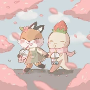 Joji | Boba Story Wiki | Fandom