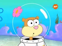 Arenita Mejillas | Bob Esponja Wiki | Fandom