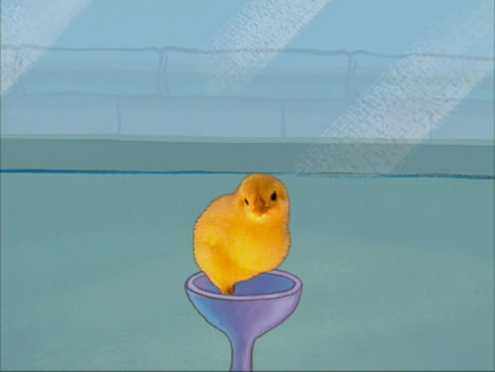 Roger (pollito) | Bob Esponja Wiki | Fandom