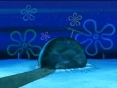 Casa de Patricio | Wiki Bob Esponja | Fandom