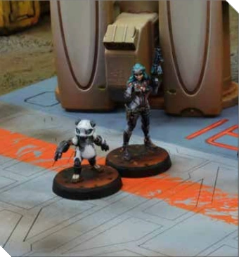 패스트 판다(Infinity) | 보덕 위키 | Fandom