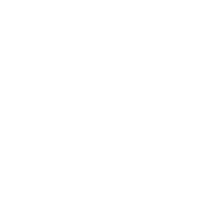 Velcon Company | Боевик на НТВ вики | Fandom