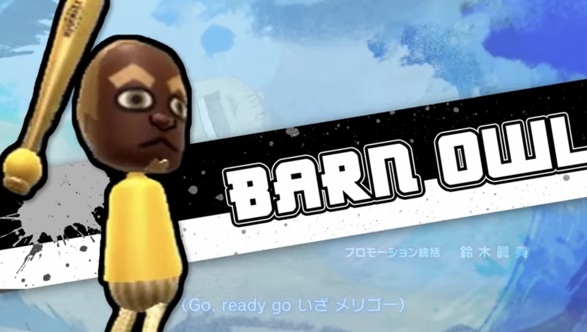 Barn Owl | BogBoy Wiki | Fandom