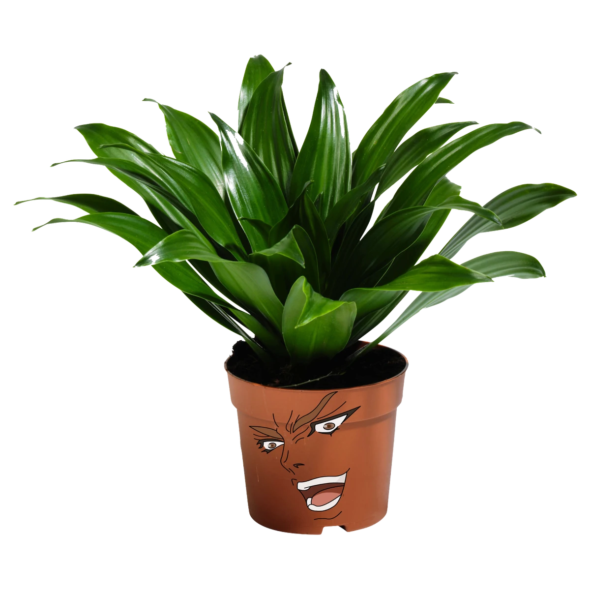 KappASA | Boho Sphere Wiki | Fandom