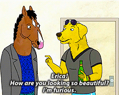 Erica | BoJack Horseman Wiki | Fandom