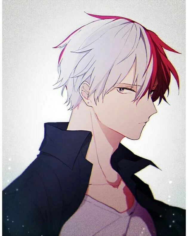 Todoroki Shouto