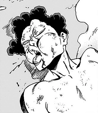 Akira Iwako | My Hero Academia Wiki | Fandom