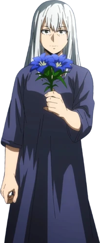 Rei Todoroki | My Hero Academia Wiki | Fandom