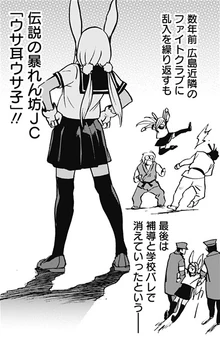 Rumi Usagiyama/Synopsis | My Hero Academia Wiki | Fandom