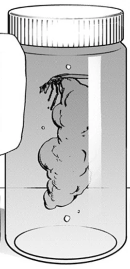 Bee☆Pop | My Hero Academia Wiki | Fandom