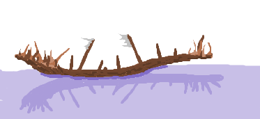 Buklug Clan Shoreship | Bolgrum Wiki | Fandom