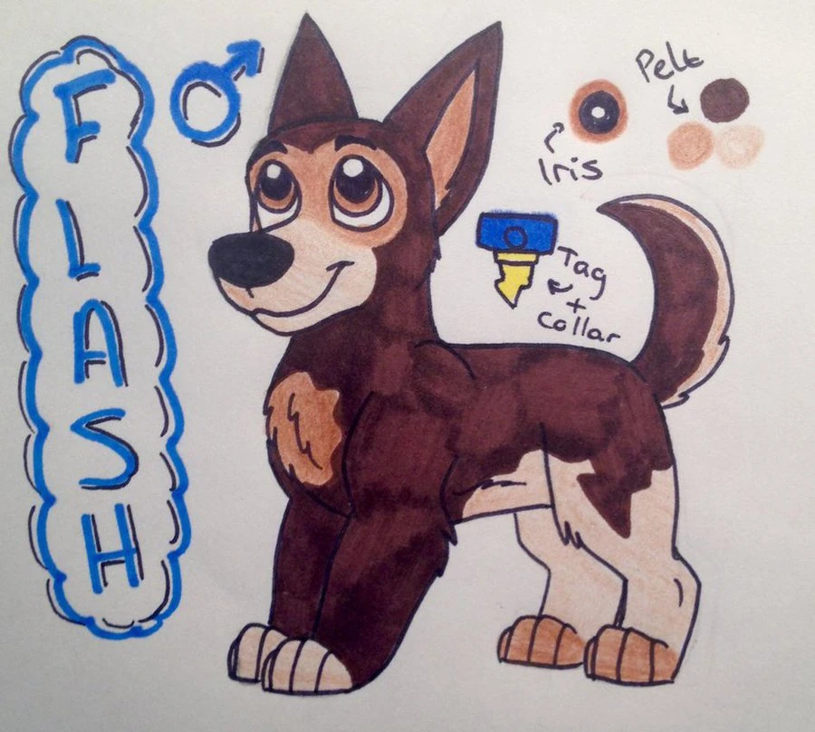 Flash | Bolt-The-Super-Dog-Fanon Wiki | Fandom