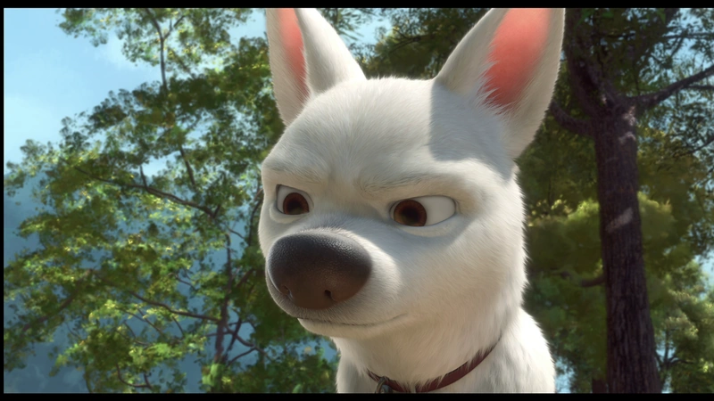 Bolt | Bolt Wiki | Fandom