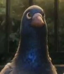 Joey | Bolt Wiki | Fandom