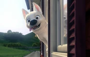 Bolt (character) | Bolt Wiki | Fandom