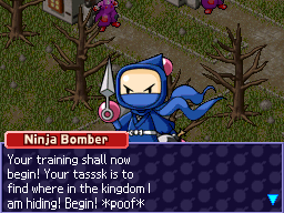 Ninja Bomber (Land Touch! 2) | Bomberman Wiki | Fandom