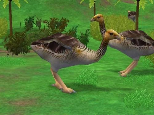 Adzebill | Bomberman Fanon Wiki | Fandom