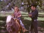 Laura Dayton | Bonanza Wiki | Fandom