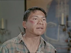 Jimmy Chang | Bonanza Wiki | Fandom
