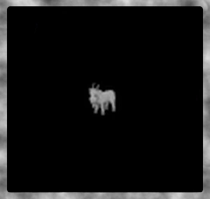 Scruffy | Bones Underground Wiki | Fandom